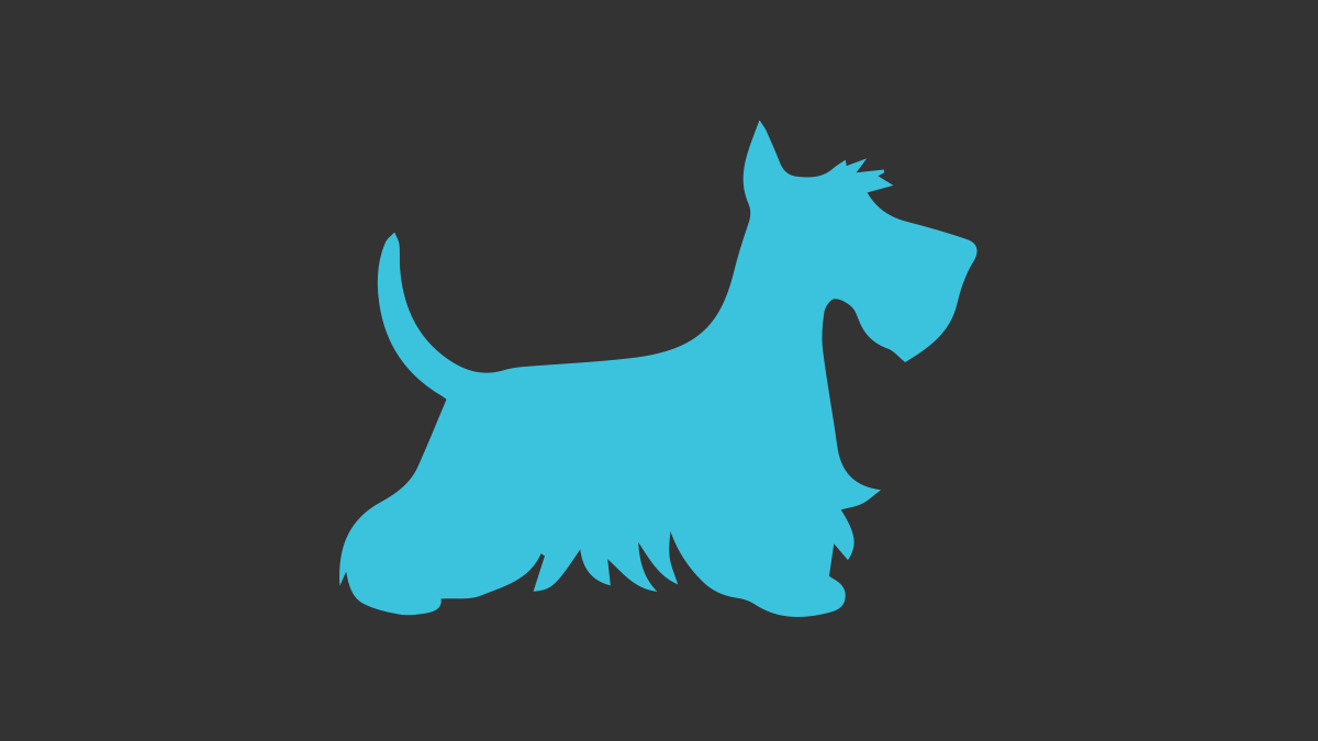 Homepage — Great Scot!